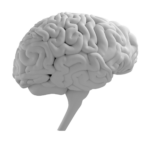 Types of Prion Disease - CJD Foundation