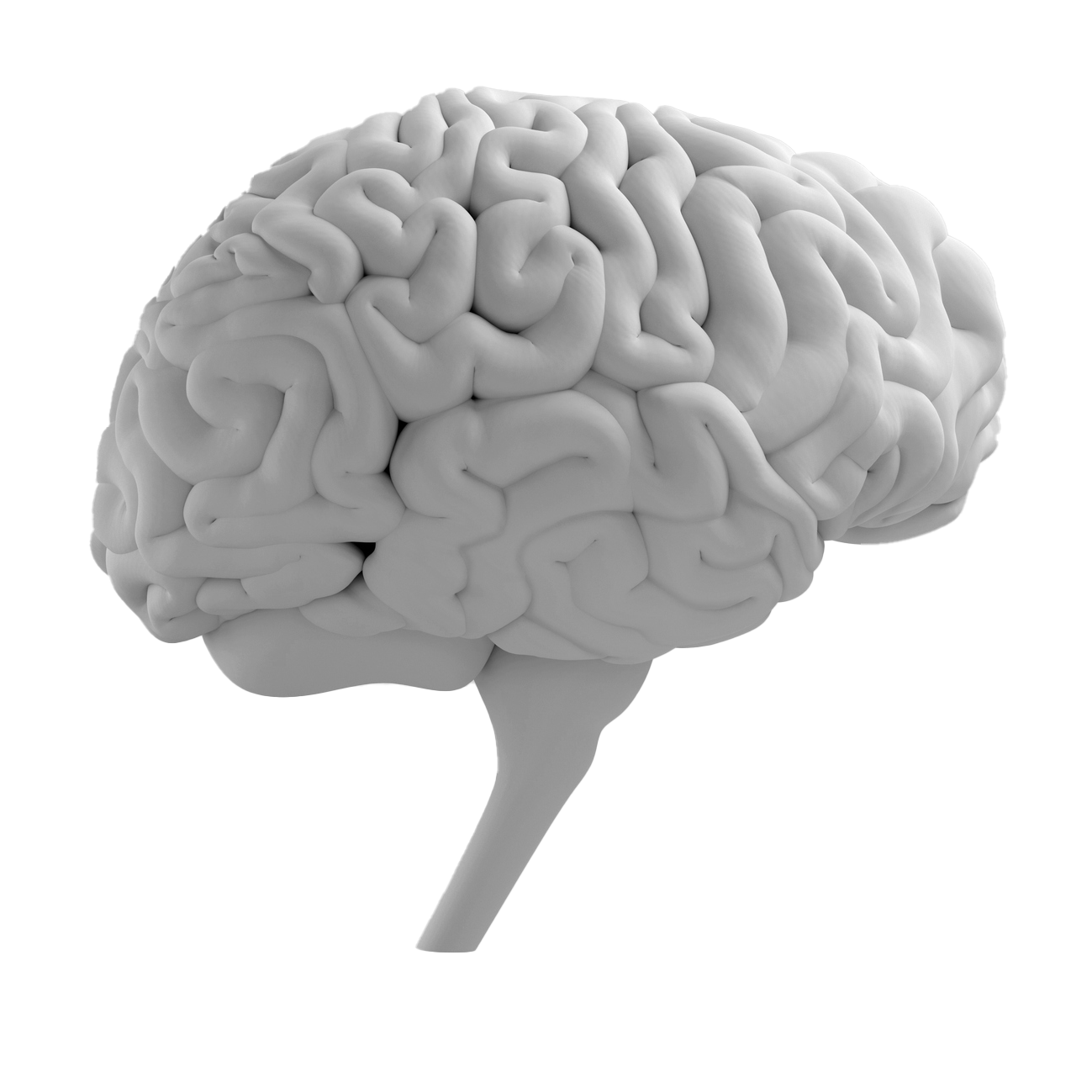 Types of Prion Disease - CJD Foundation